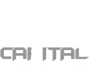V 3 Capital